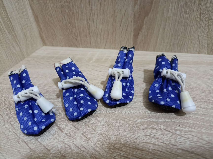 Обувь и поводок-рулетка для собак