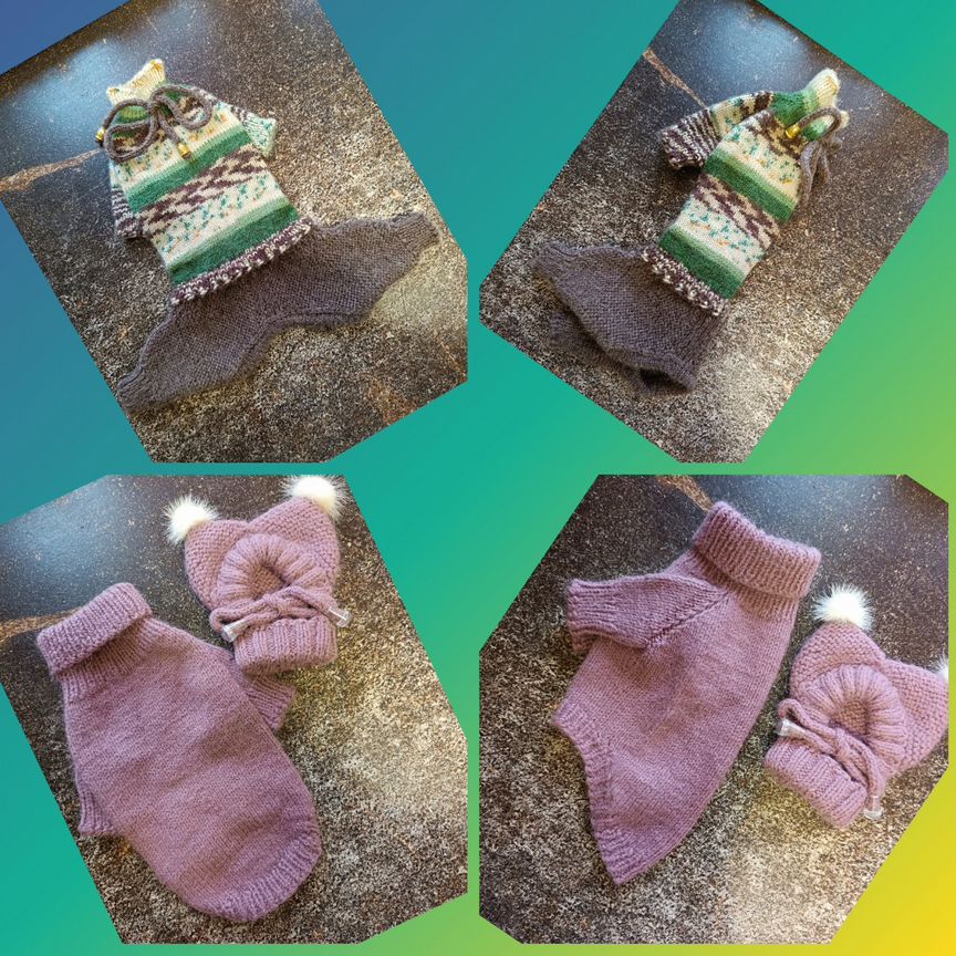 Вязанная одежда для маленьких питомцев