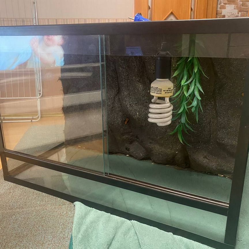 Террариум для рептилий и других животных