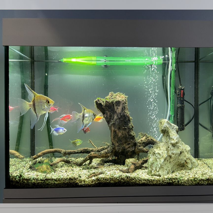 Аквариум 92 литра с тумбой, полный комплект