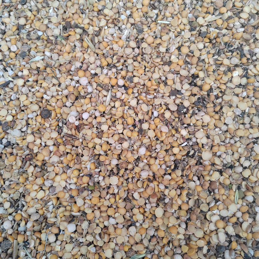 Отходы гороха