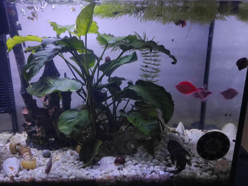 Аквариум с тумбой