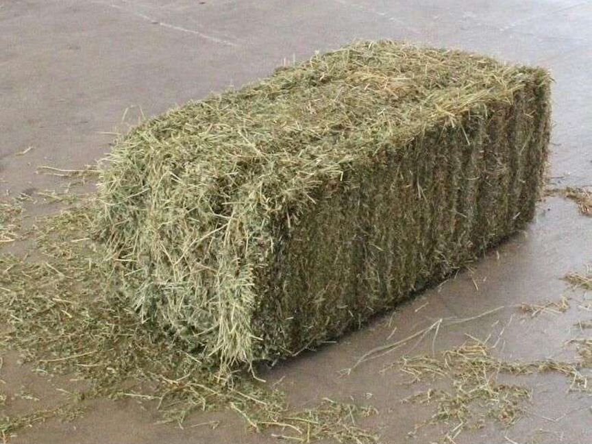 Сено луговое в тюках зеленое (покос 2023)