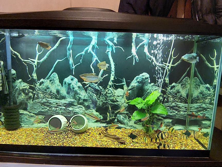 Аквариум