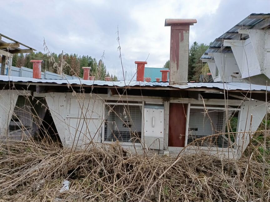 Клетка для кроликов