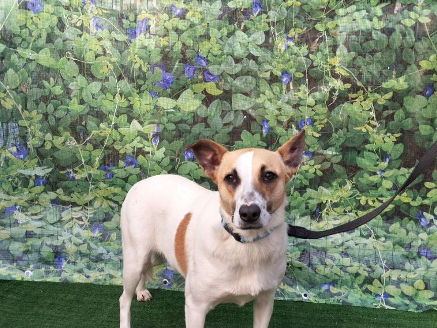 Марго заждалась свою семью