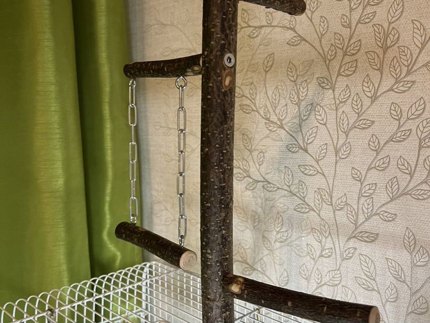 Стенд качели жордочки для попугая