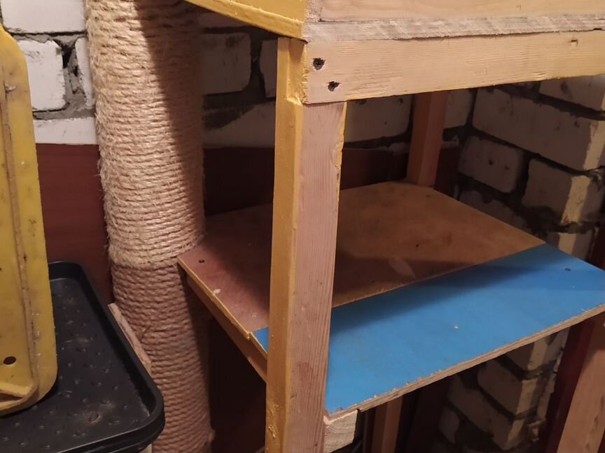 Аксессуары для кошки и котят