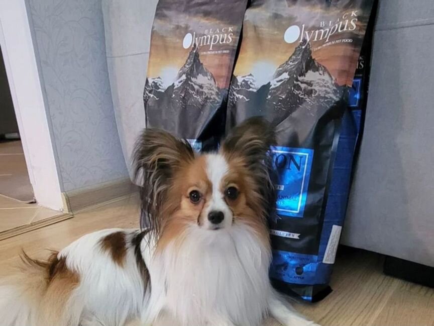 Корм для взрослых собак всех пород Black Olympus