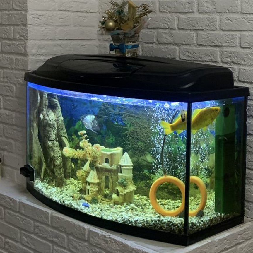 Аквариум 100 литров