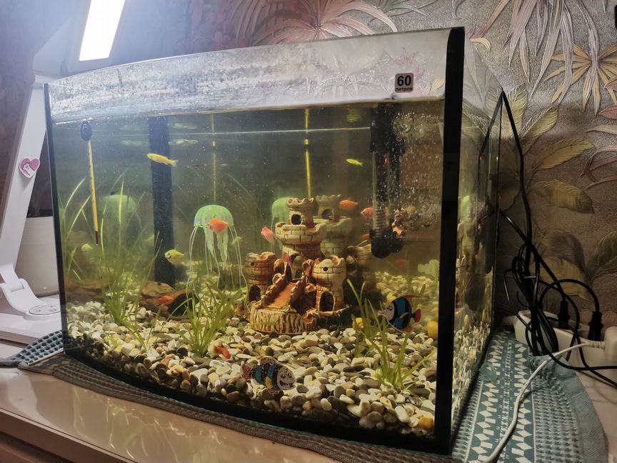 Аквариум 60 л "под ключ"