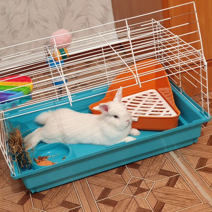 Клетка и аксессуары для кролика
