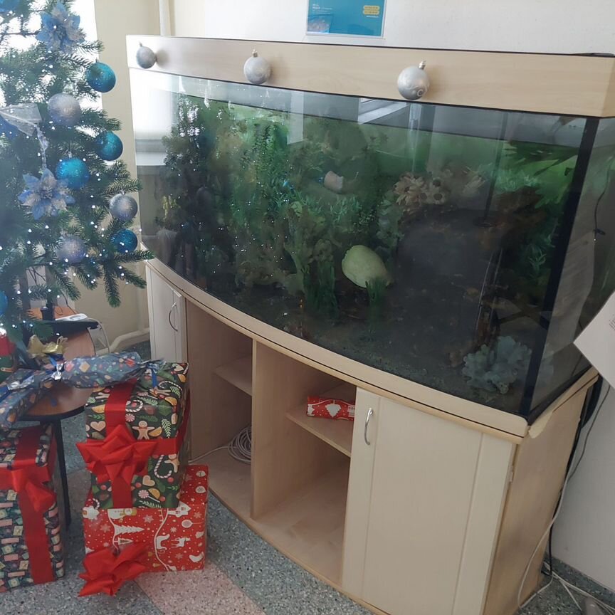 Аквариумы с рыбками 400 л