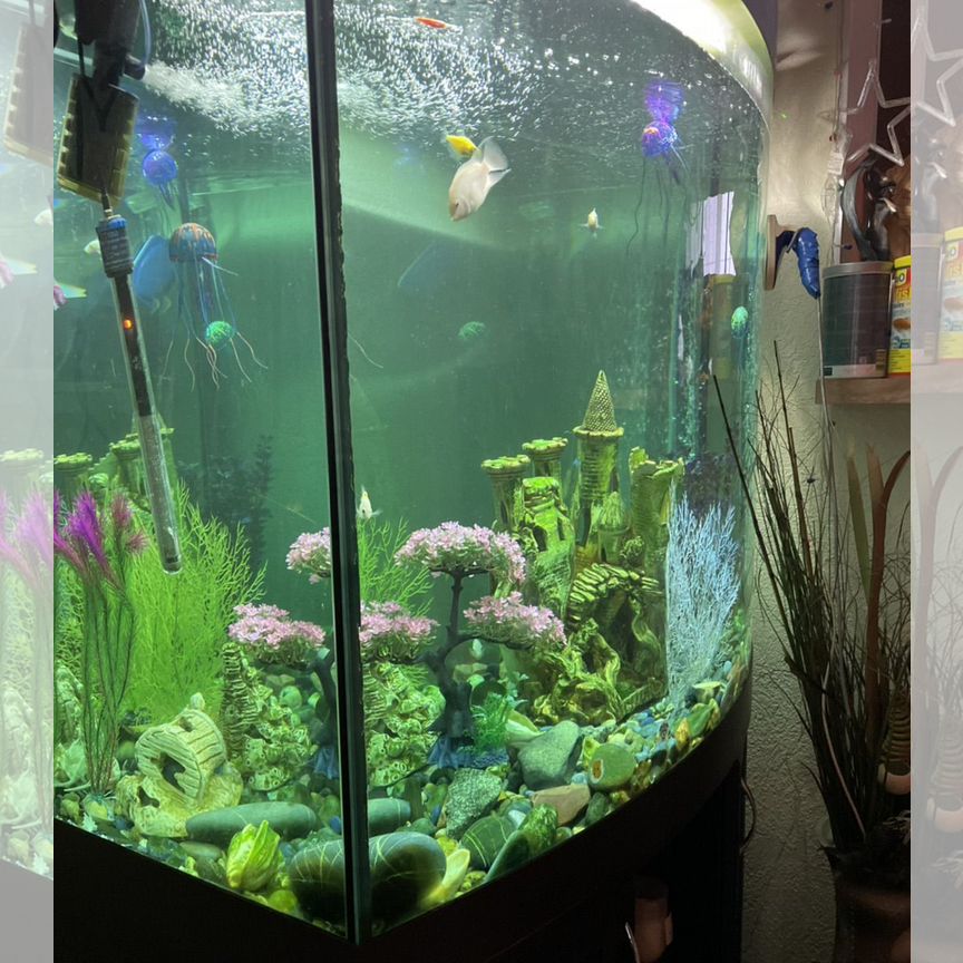 Аквариум