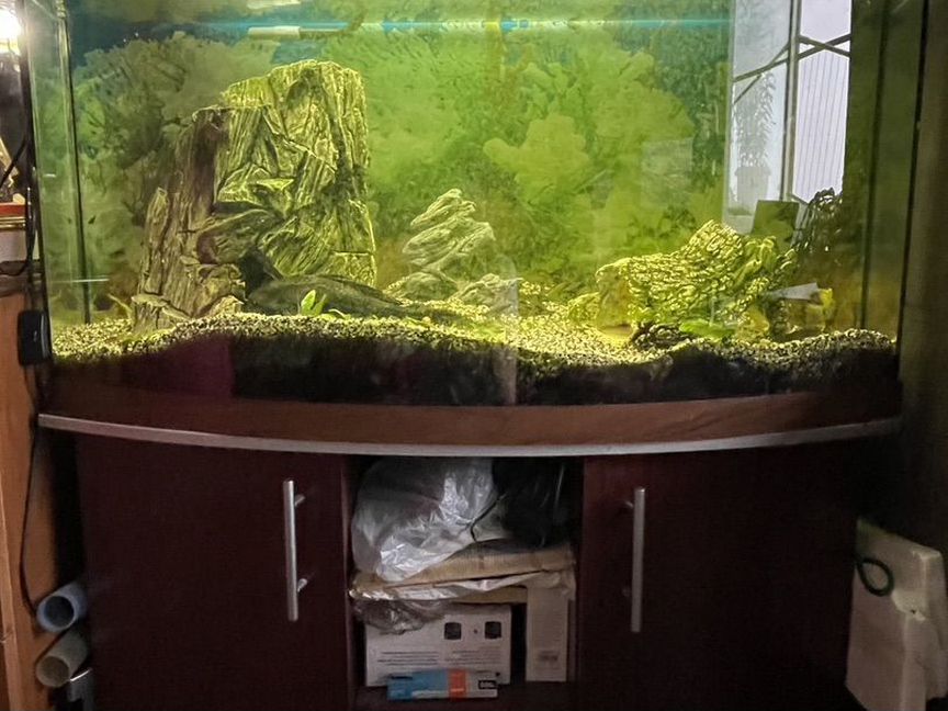Продам аквариум 250л с тумбой