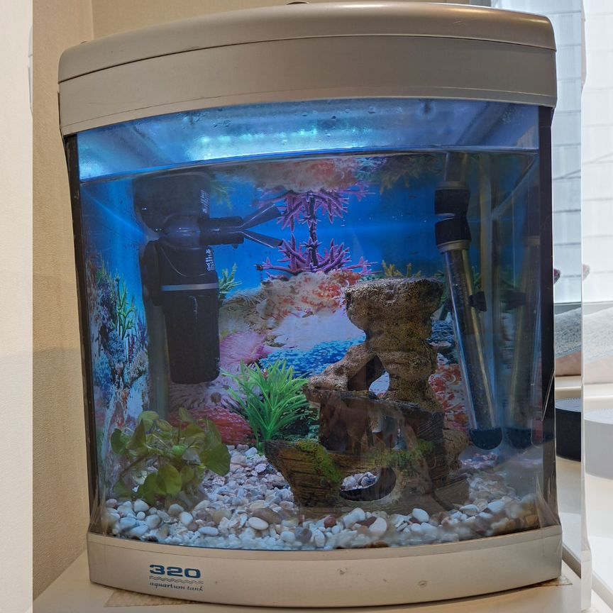 Аквариум 30л ( фильтр, нагрев, свет, декор)
