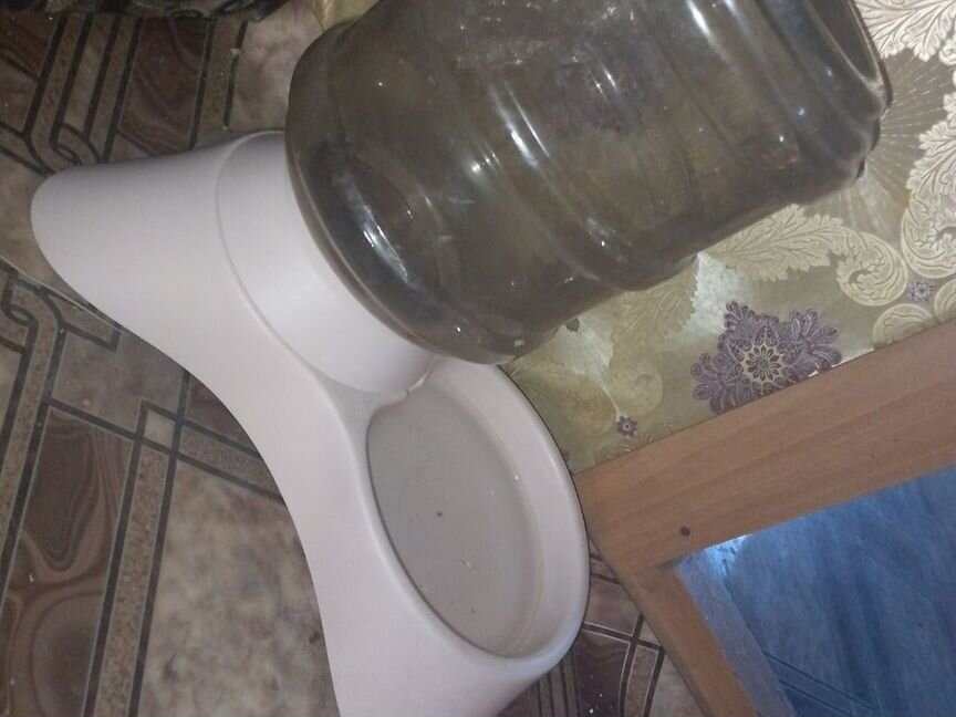 Автопоилка для кошек и собак