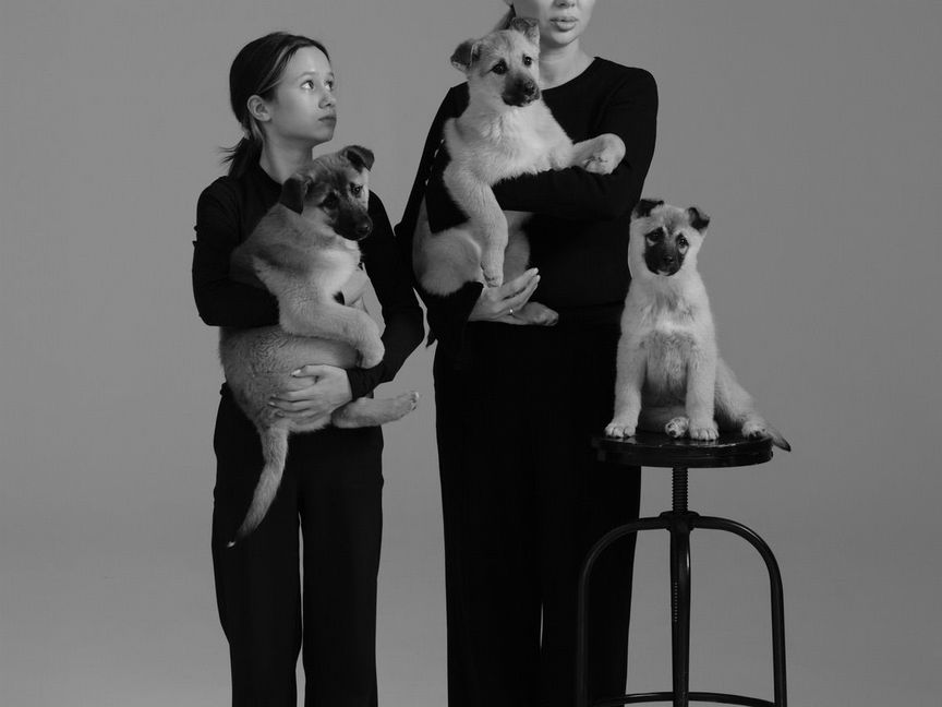 Щенки из приюта