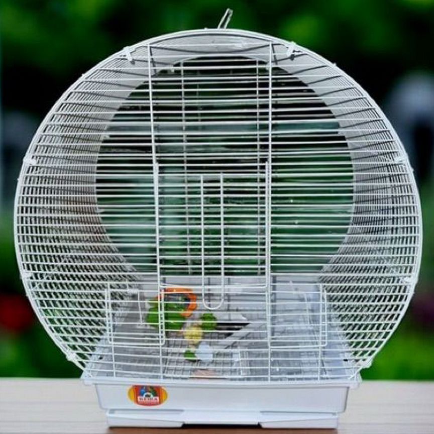 Клетка для попугая   игрушки