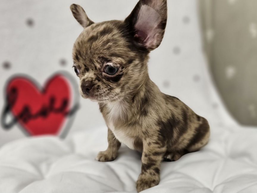 Один на миллион