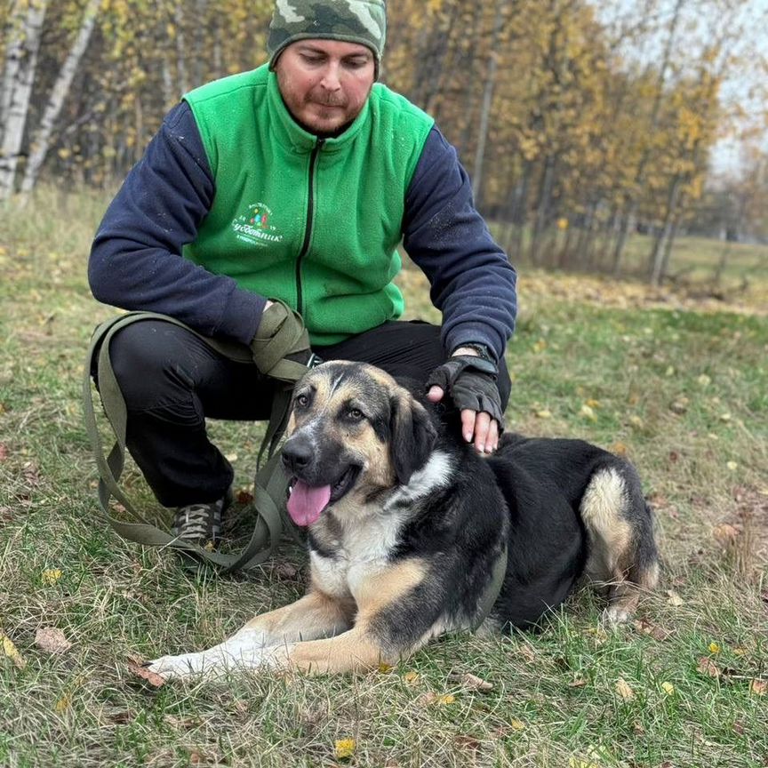 Донна ждет тебя в приюте