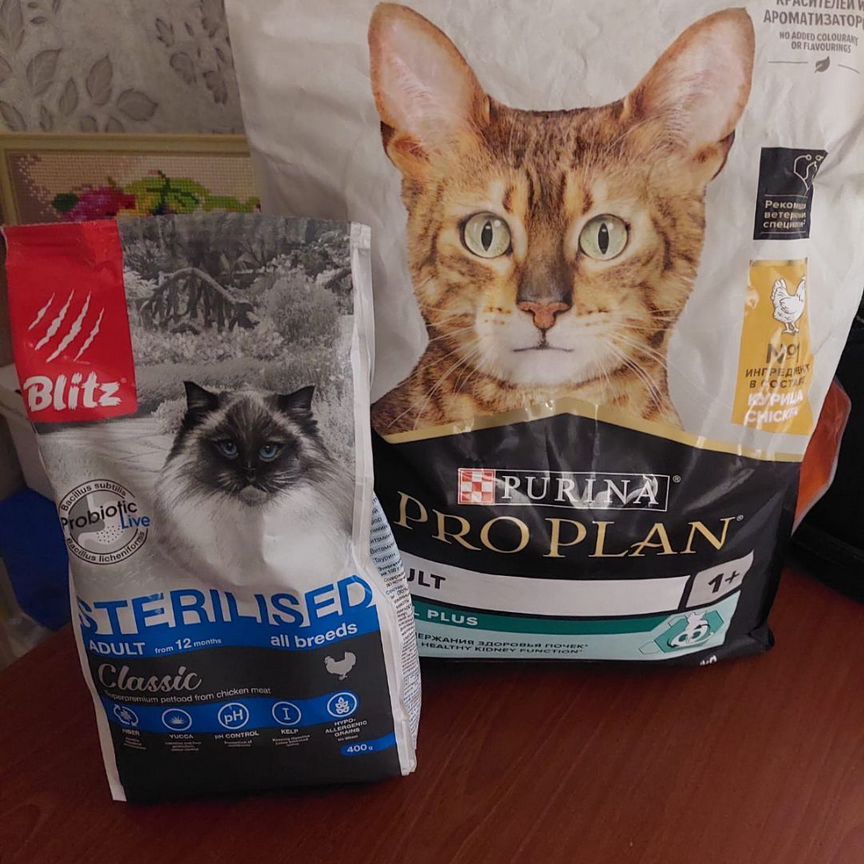 Корм для кошек