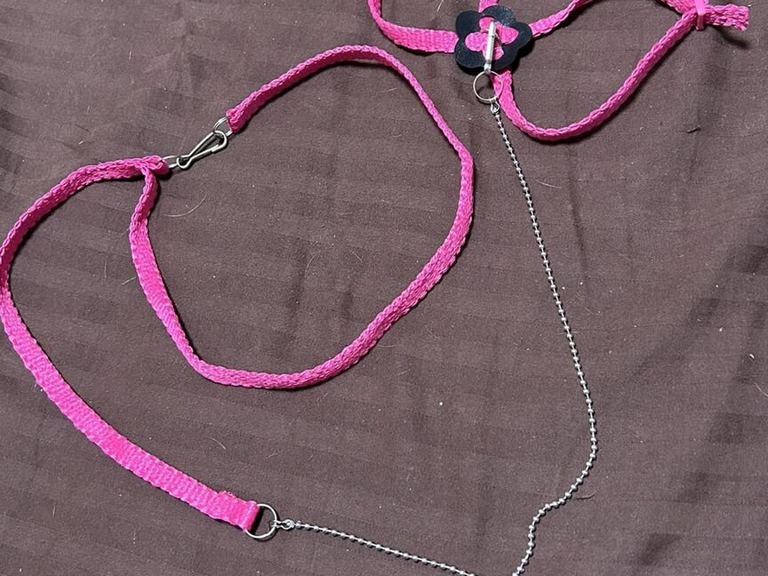 Шлейка для грызунов