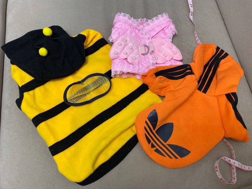 Костюмы и шлейка для котиков и собачки