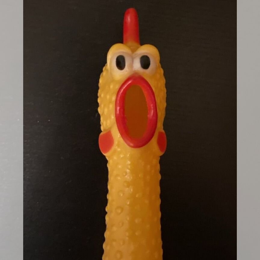 Курица пищалка