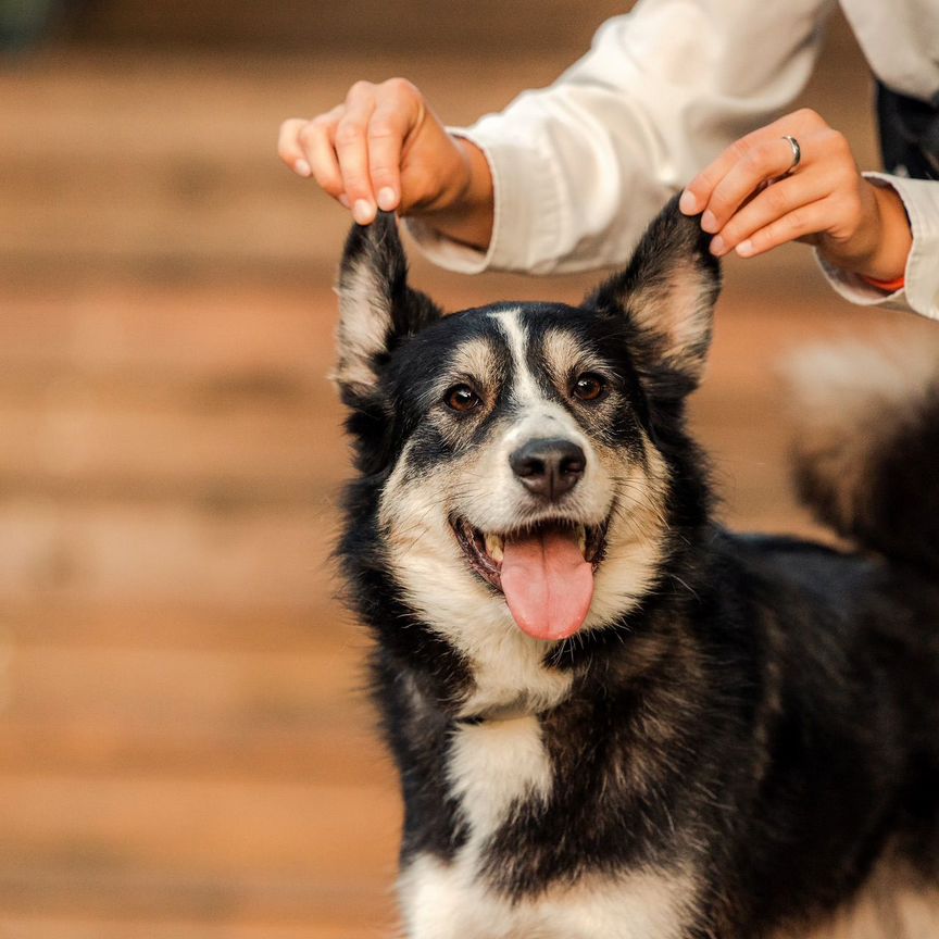 Латиф ищет дом