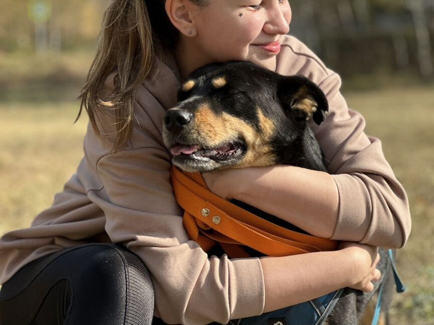 Нежный ласковый пёс из приюта в добрые руки