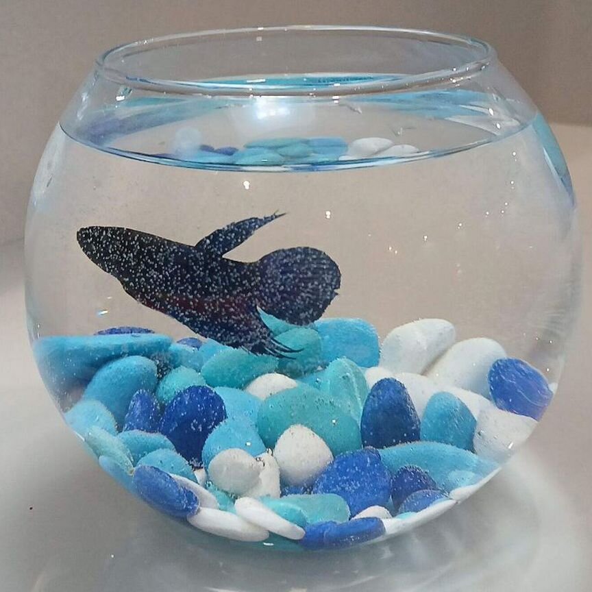 Аквариум 1 литр