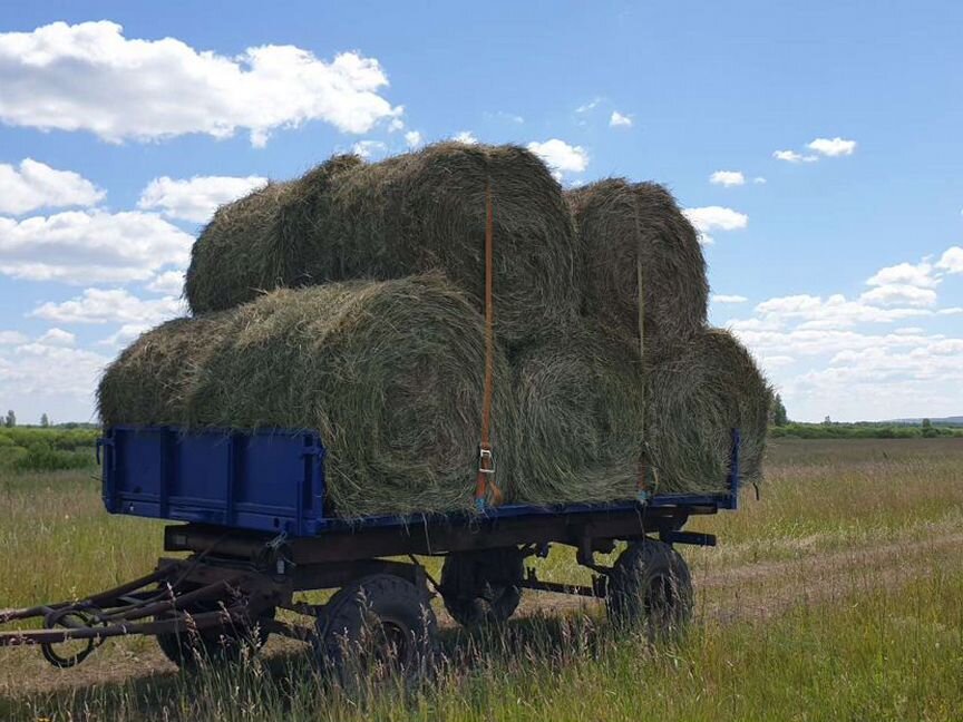 Сено в рулонах 2023