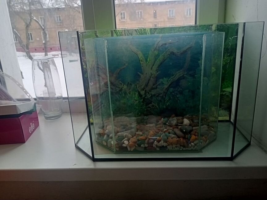 Аквариум