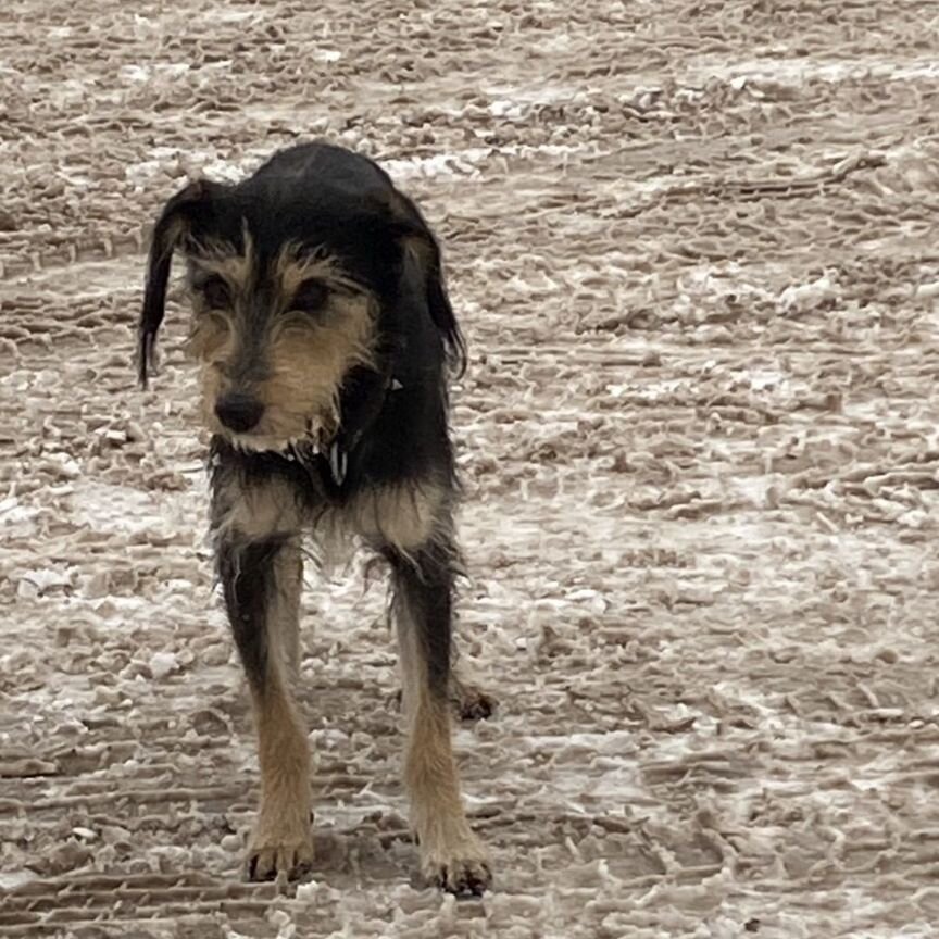 Кто потерял