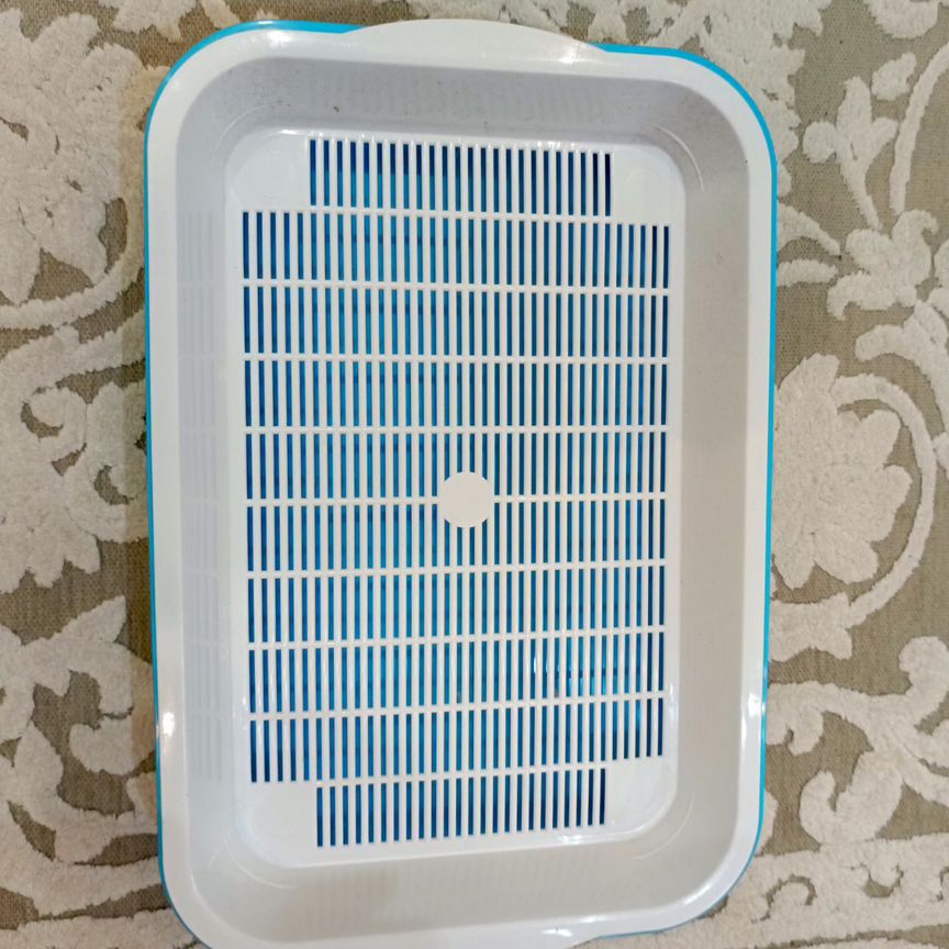 Лоток для кошек и собак, дома после 20.00