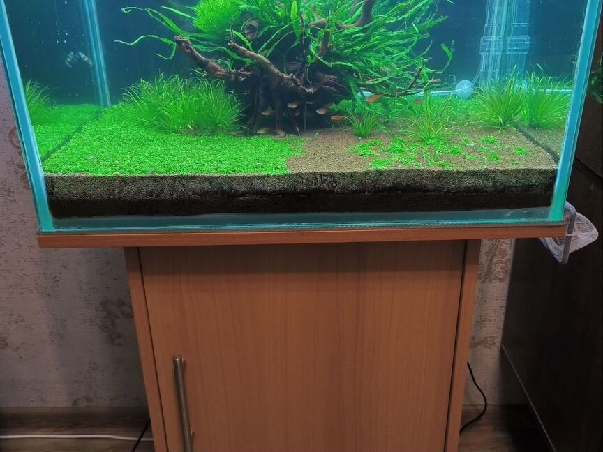 Аквариум 90л под ключ