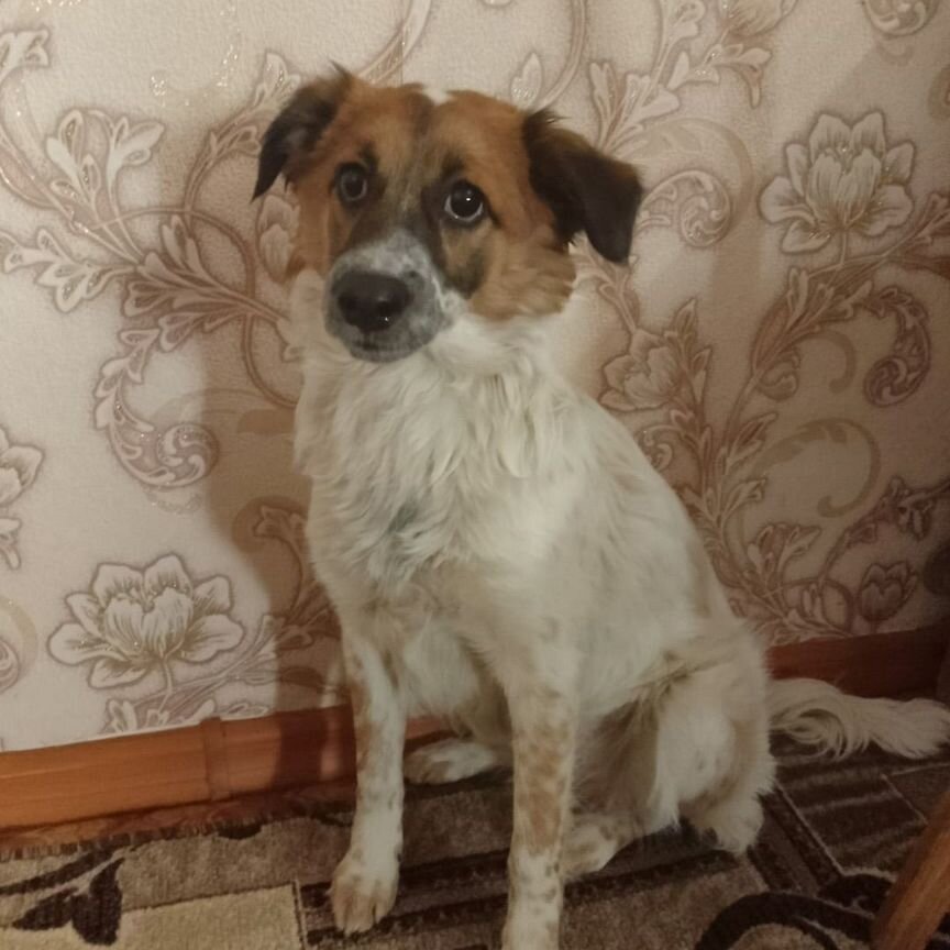 Мечтает о доме славный пацан