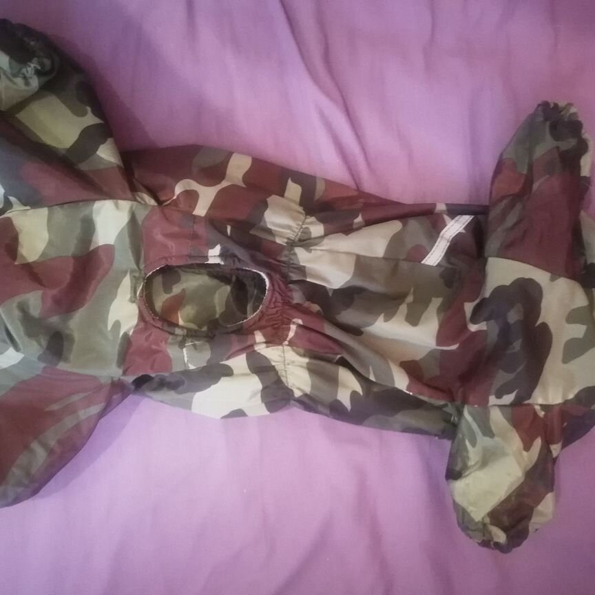 Одежда для маленьких собак