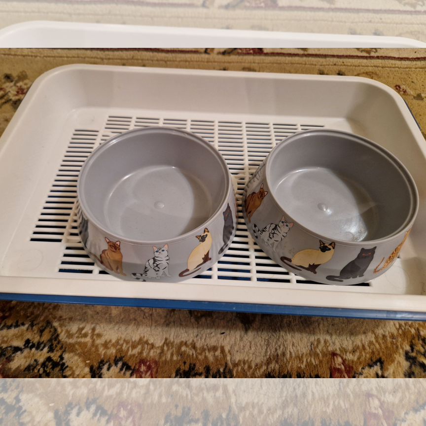 Лоток и тарелочки для животных