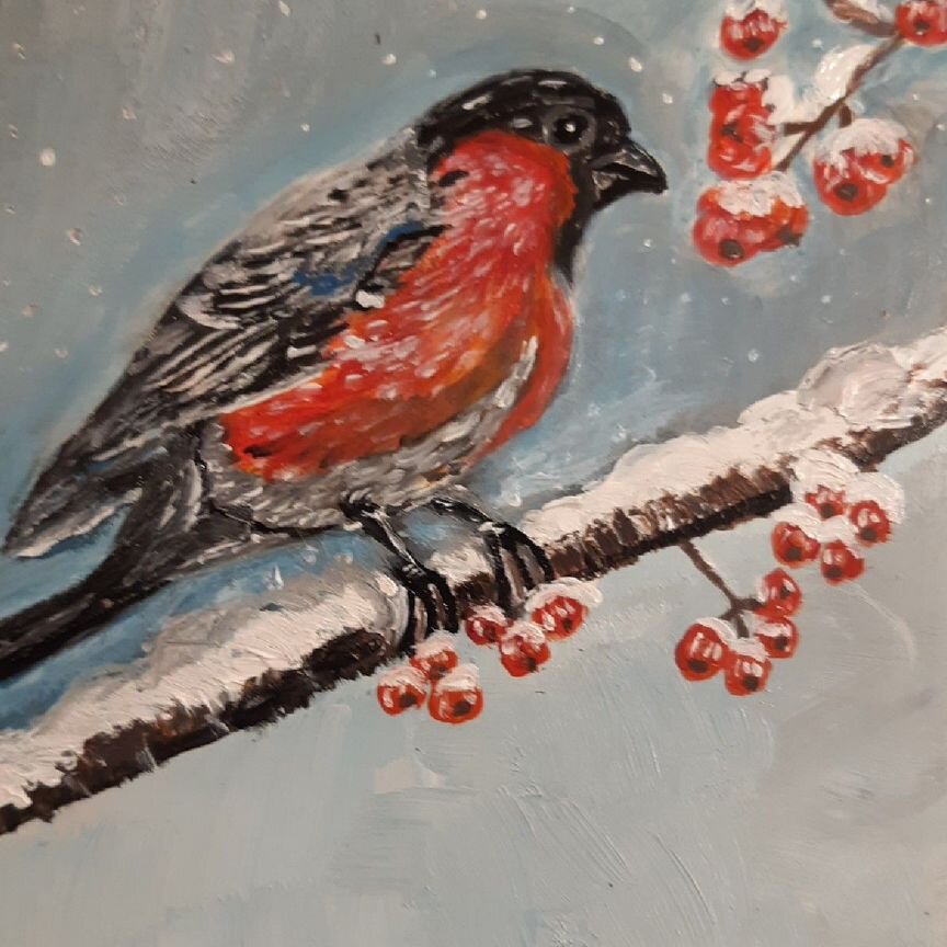 Снегирь зимой