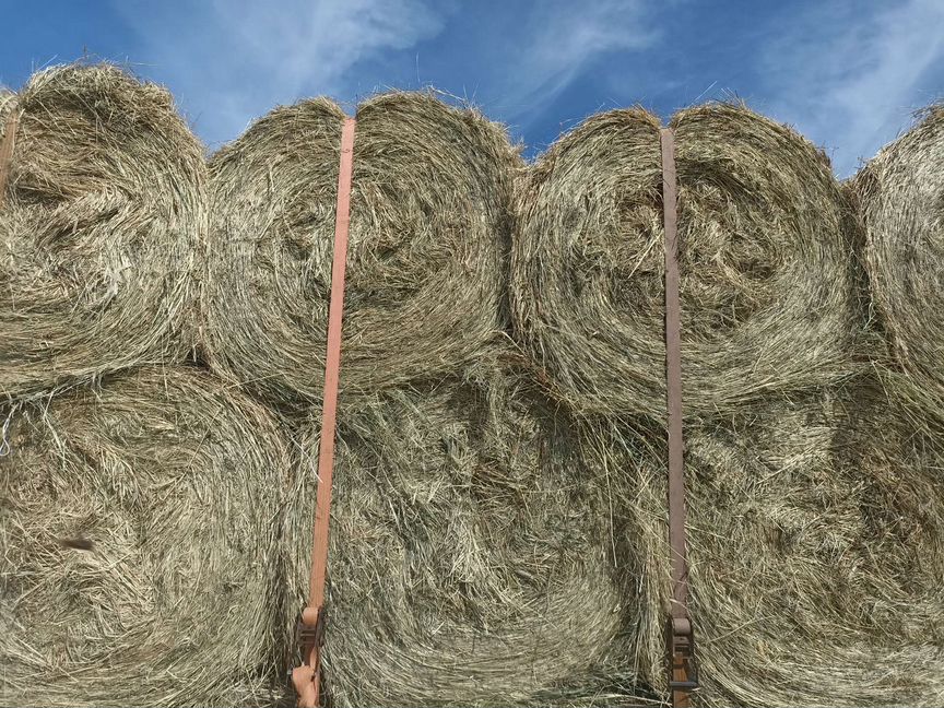 Сено разнотравье 2023