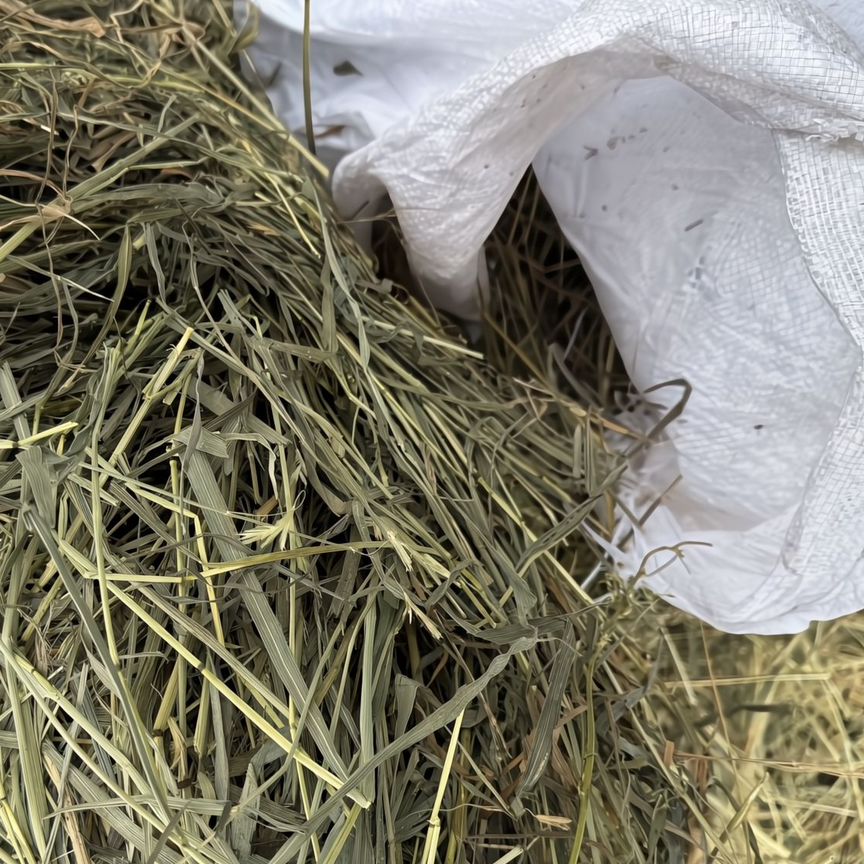 Сено премиум луговое разнотравье для грызунов