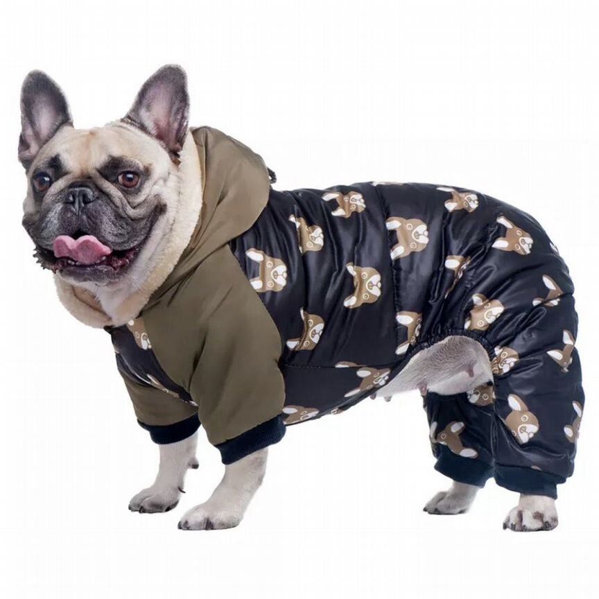 Комбинезон для собак с французским бульдогом