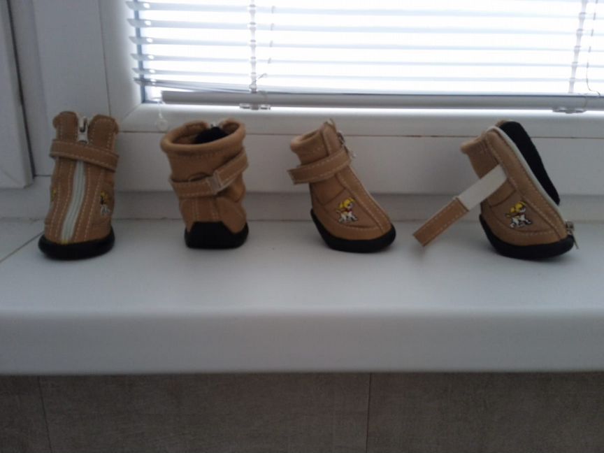 Ботинки для маленьких собак