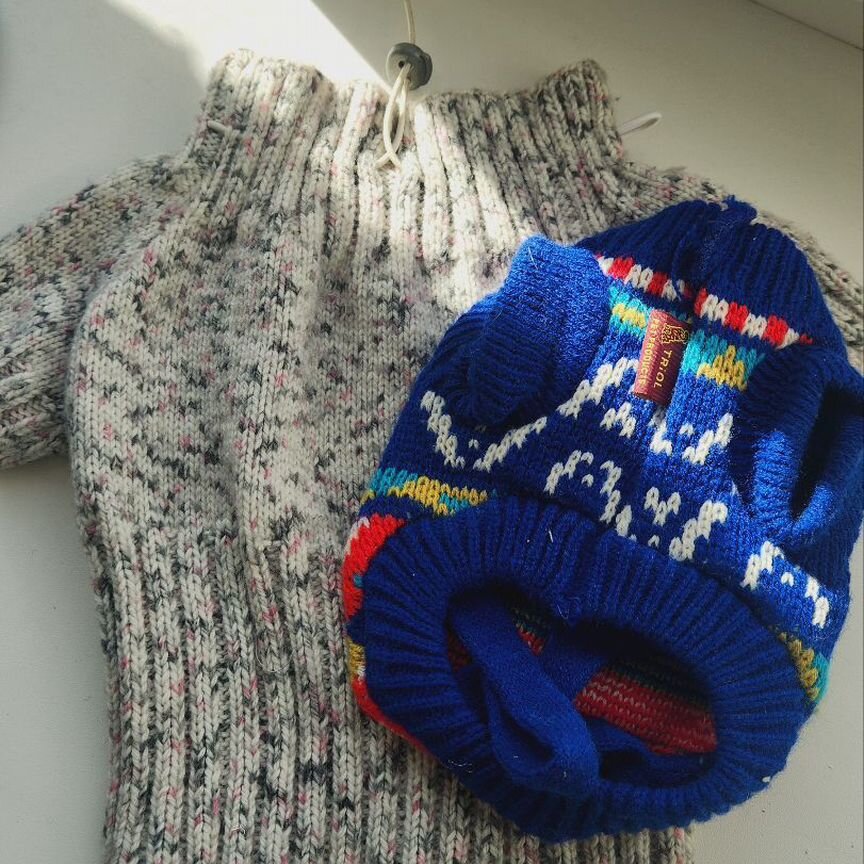 Одежда для животных