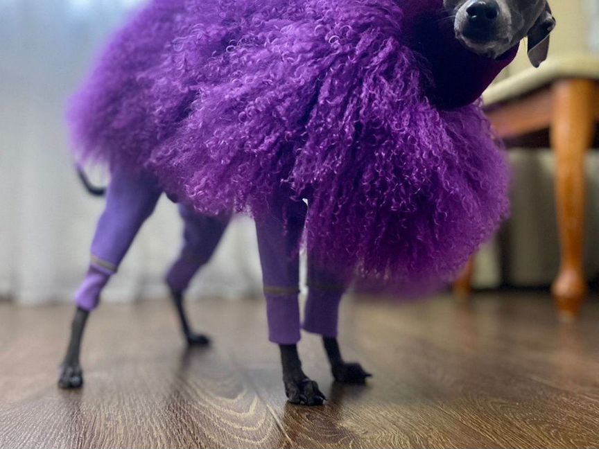 Шуба для собак попона для левретки