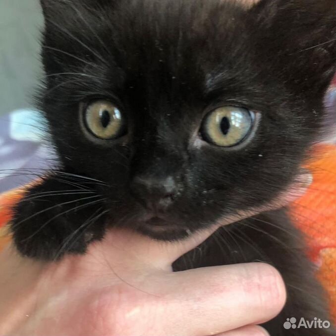 Ты наверное меня ищешь