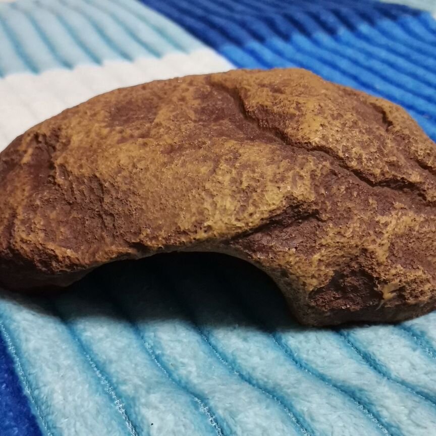 Домик для рептилий