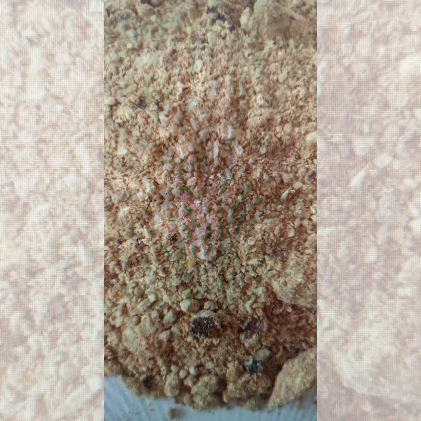 Кукурузный жмых